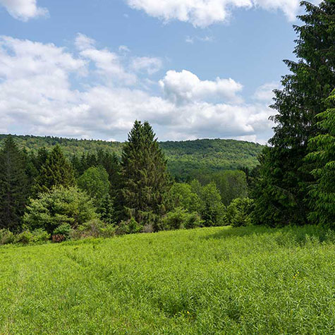 New York Land & Lakes | NY Land for Sale